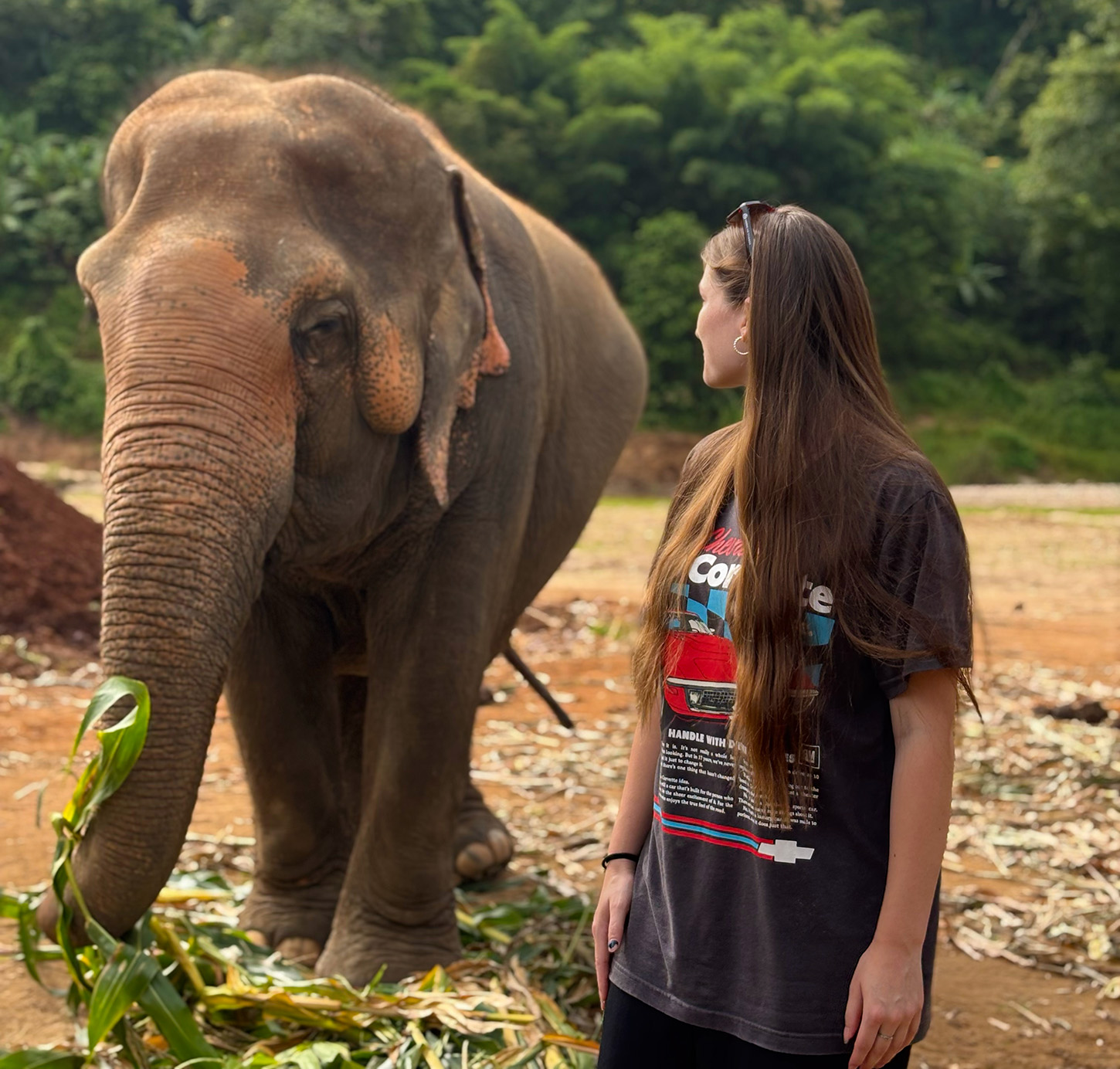 Four Gilman Scholars Explore Their Interests in Thailand - Office of ...